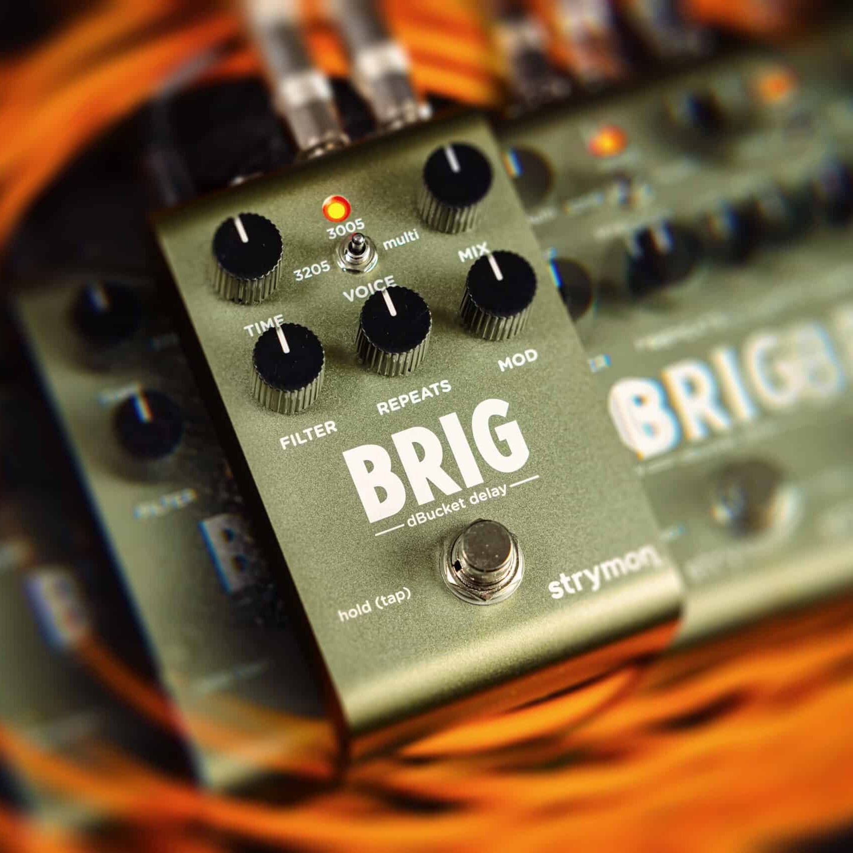 Strymon Brig - dBucket Delay – Gladesville Guitar Factory