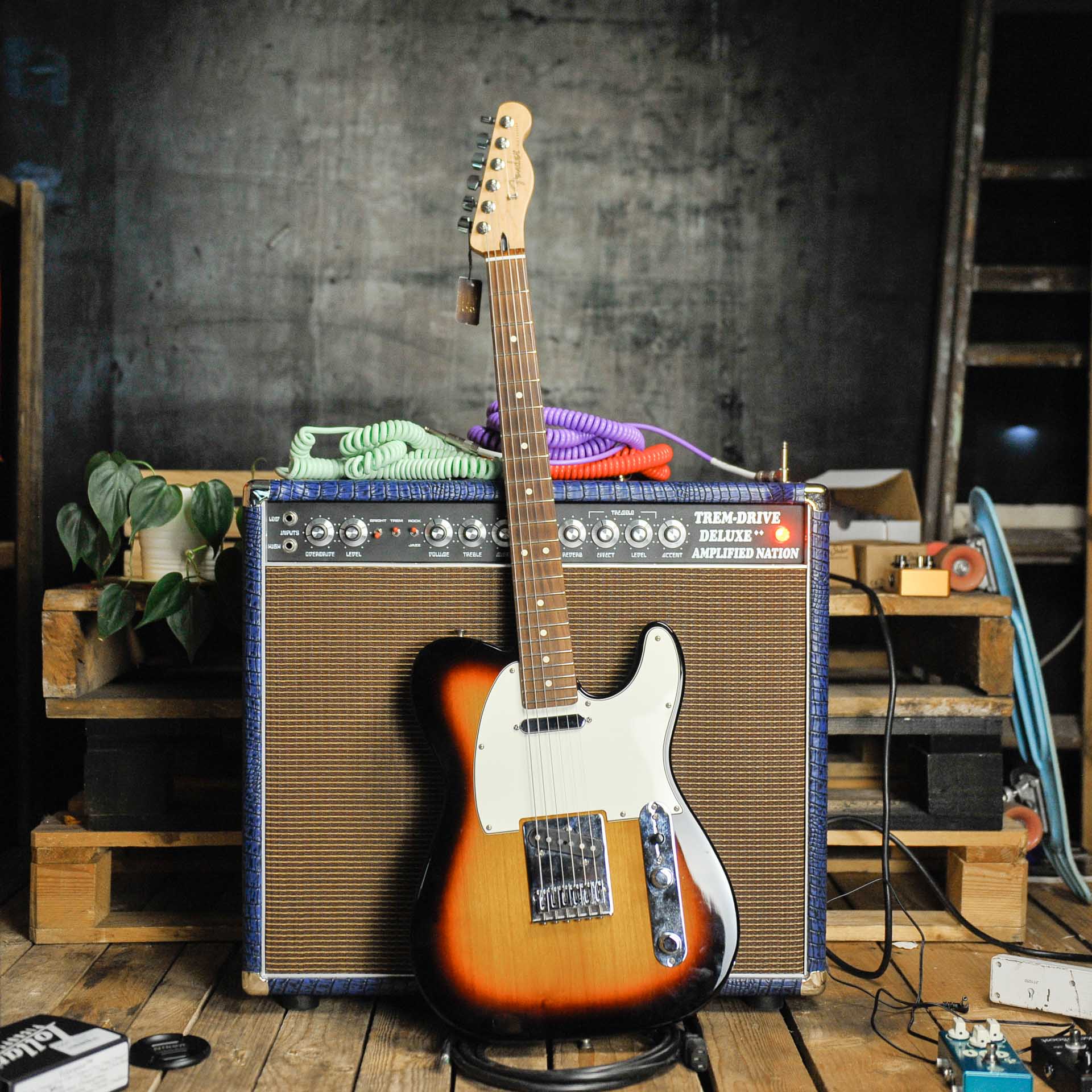 Buy Fender Player Telecaster Online in Australia – Gladesville Guitar ...