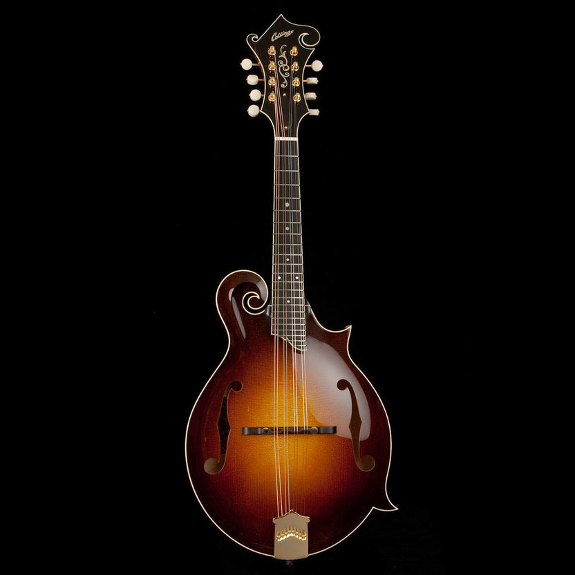 Collings Mandolins | Buy Collings Mandolins Online – Gladesville Guitar ...