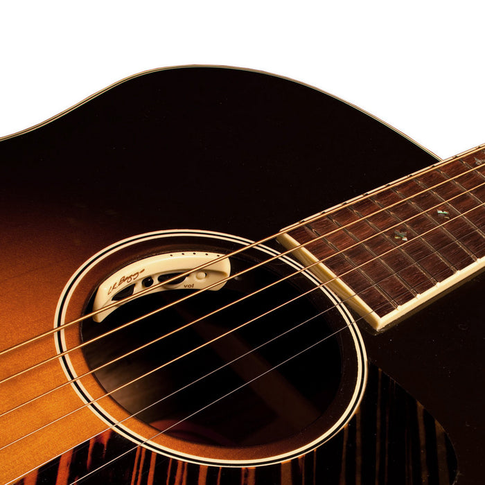 LR Baggs Anthem Acoustic Guitar Pickup + Microphone – Gladesville ...